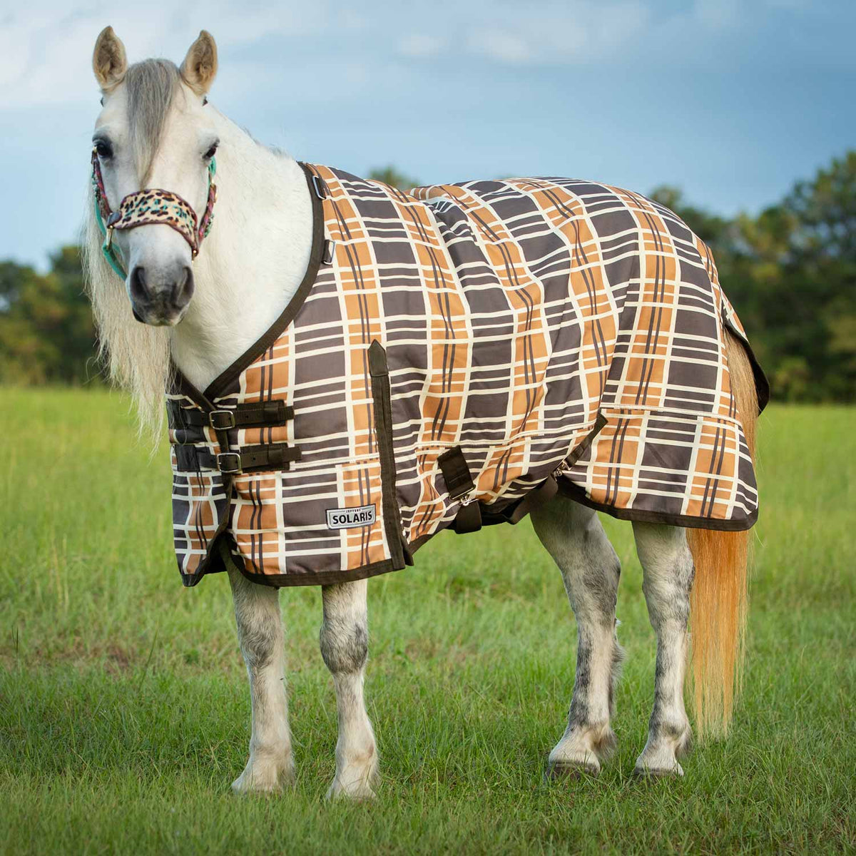 Jeffers Pony Poppins Solaris Turnout Blanket, Brown & Cream Plaid