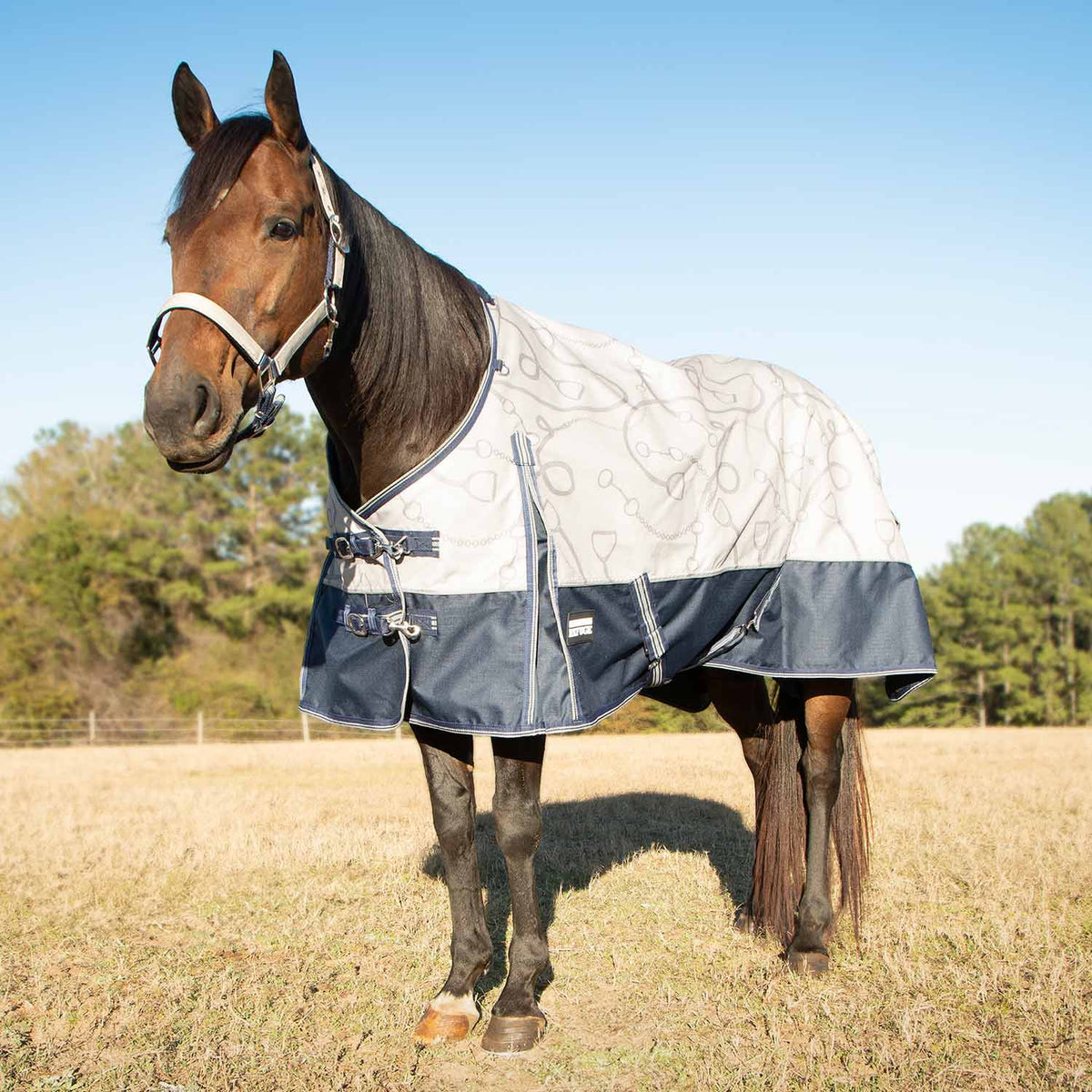 Jeffers Uniquely English 1200 Denier Turnout Blanket, 240G, Latte ...