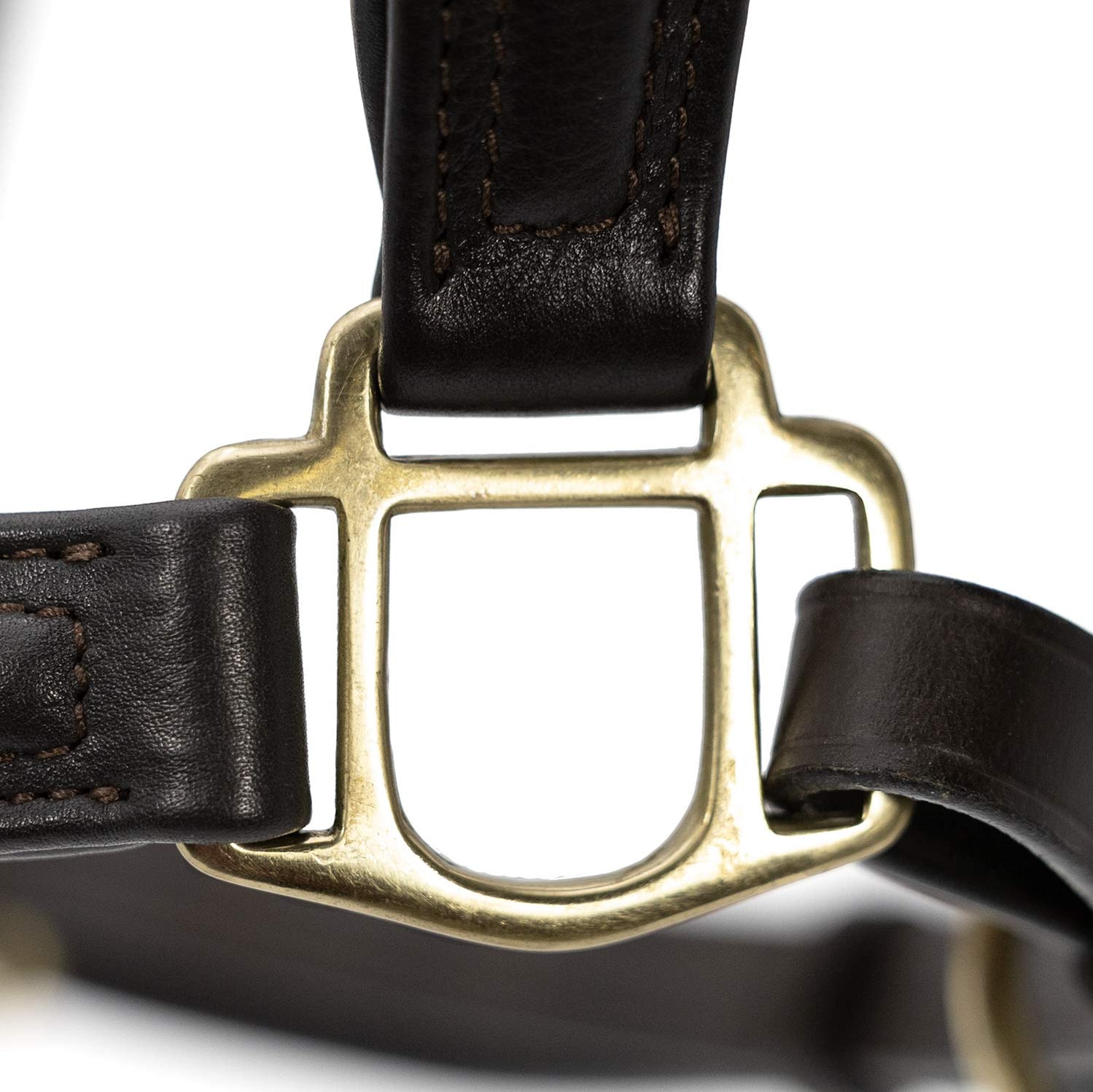 Jeffers Softie Padded Leather Horse Halter