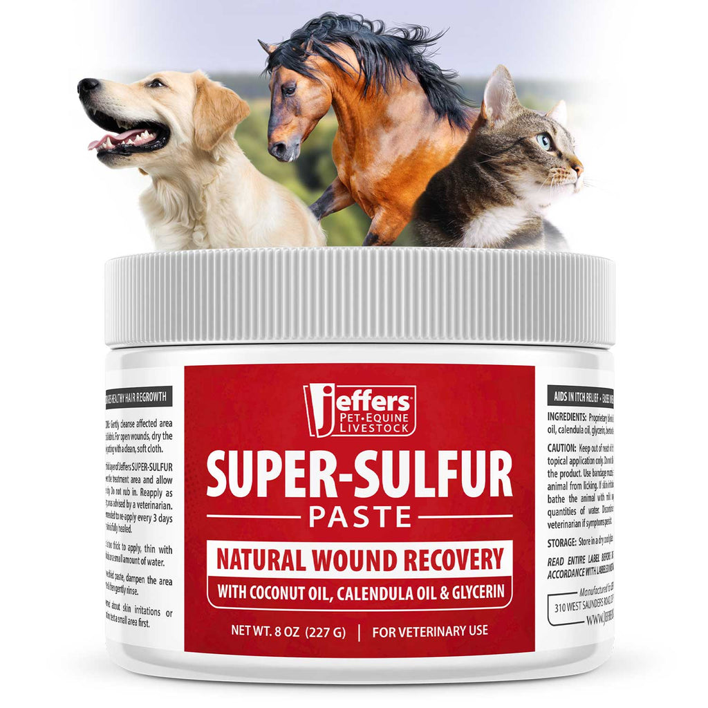 Jeffers Pet, Equine & Livestock | Animal & Pet Supplies Store