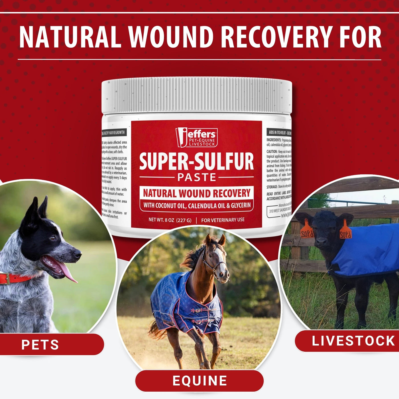 Jeffers Super Sulfur Healing Paste, 8 oz Natural Wound Care