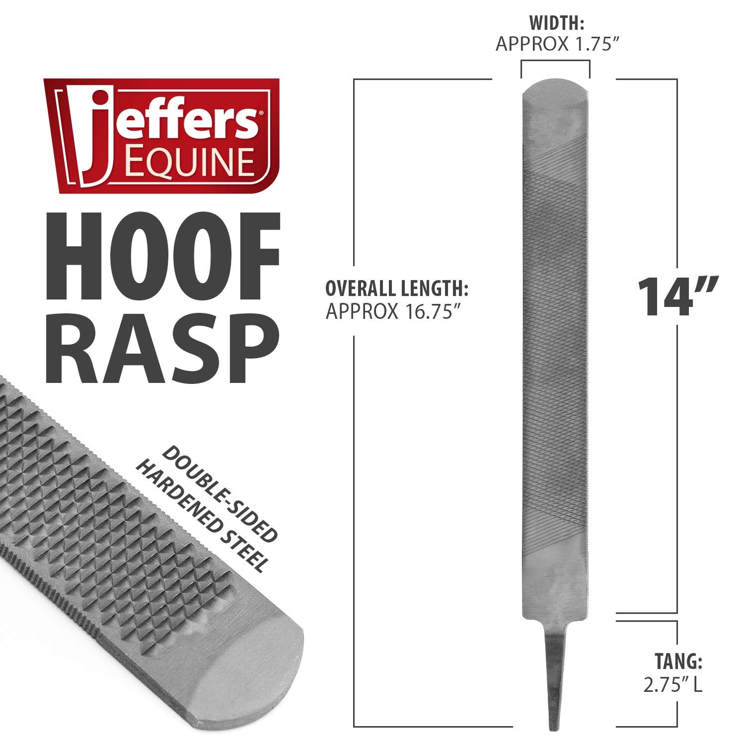 Jeffers Mini Hoof Rasp for Horses, Goats & Sheep, 10"L