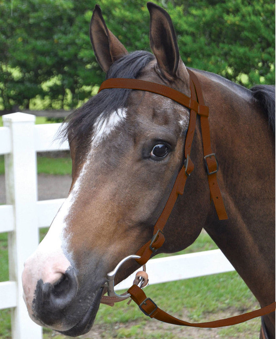 Western Nylon Horse Bridle w/ Rein, 6' Reins — Jeffers