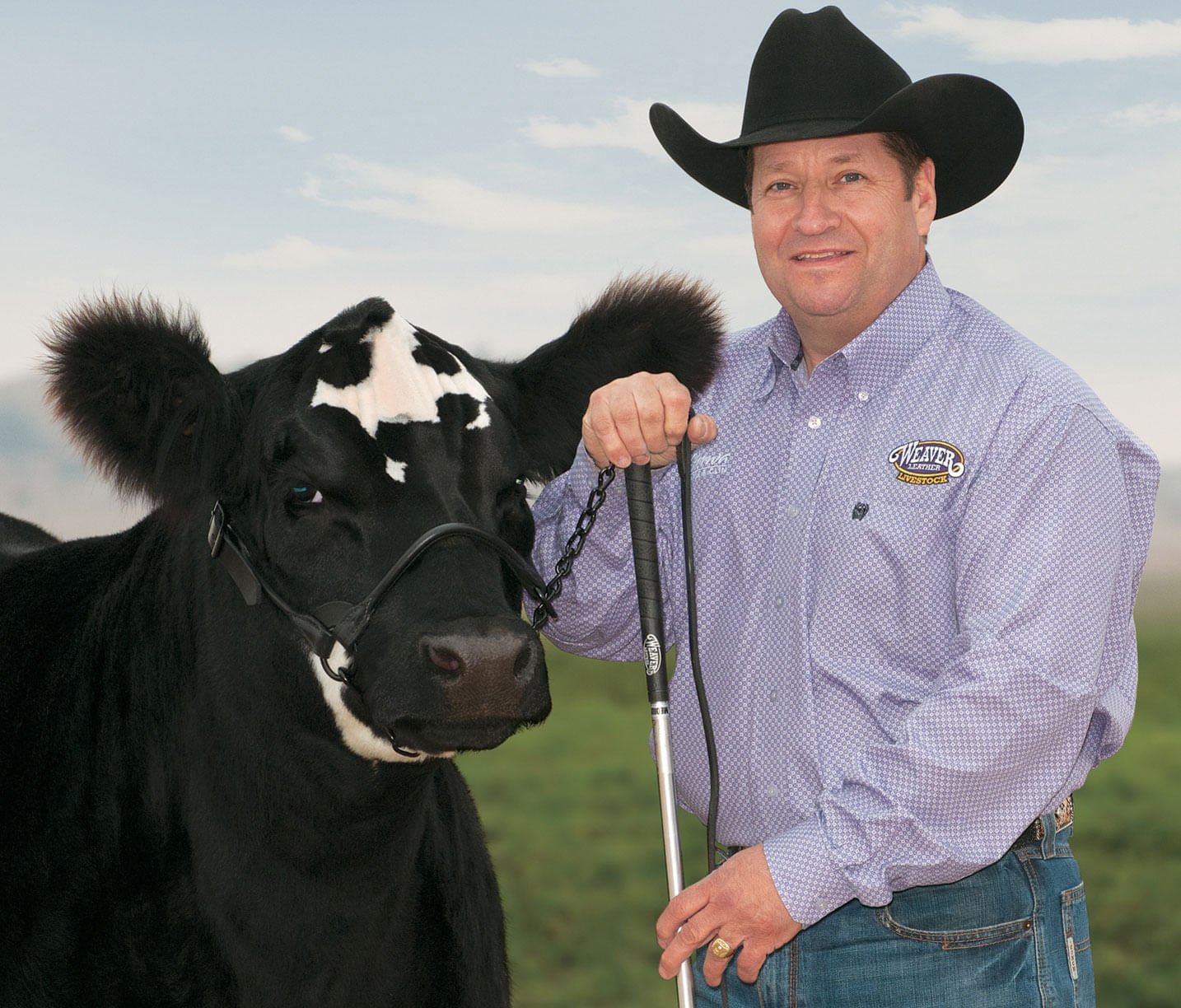 Cow & Cattle Halters — Jeffers