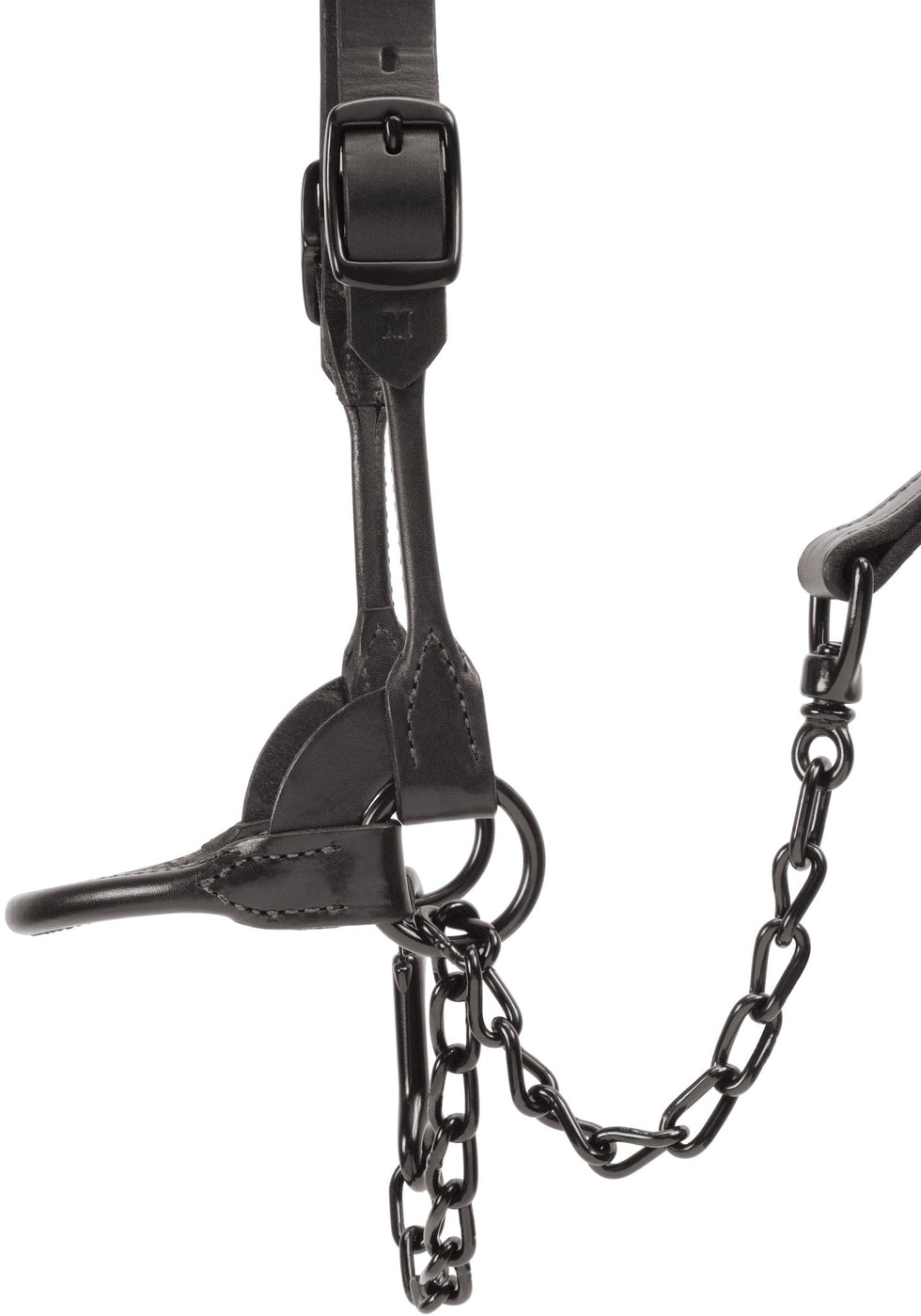 Kirk Stierwalt Black Magic Show Cattle Halter — Jeffers