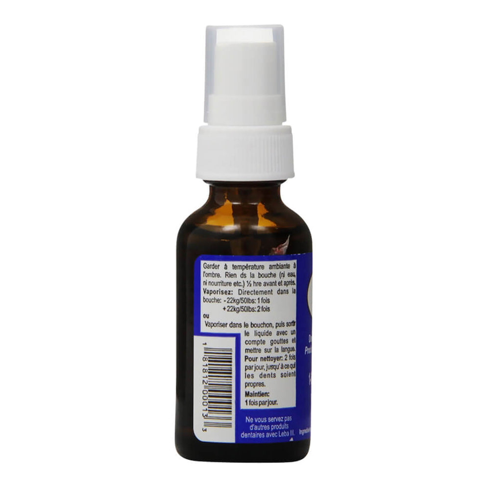 Leba III Natural Dental Spray for Dog & Cat, 1 oz — Jeffers