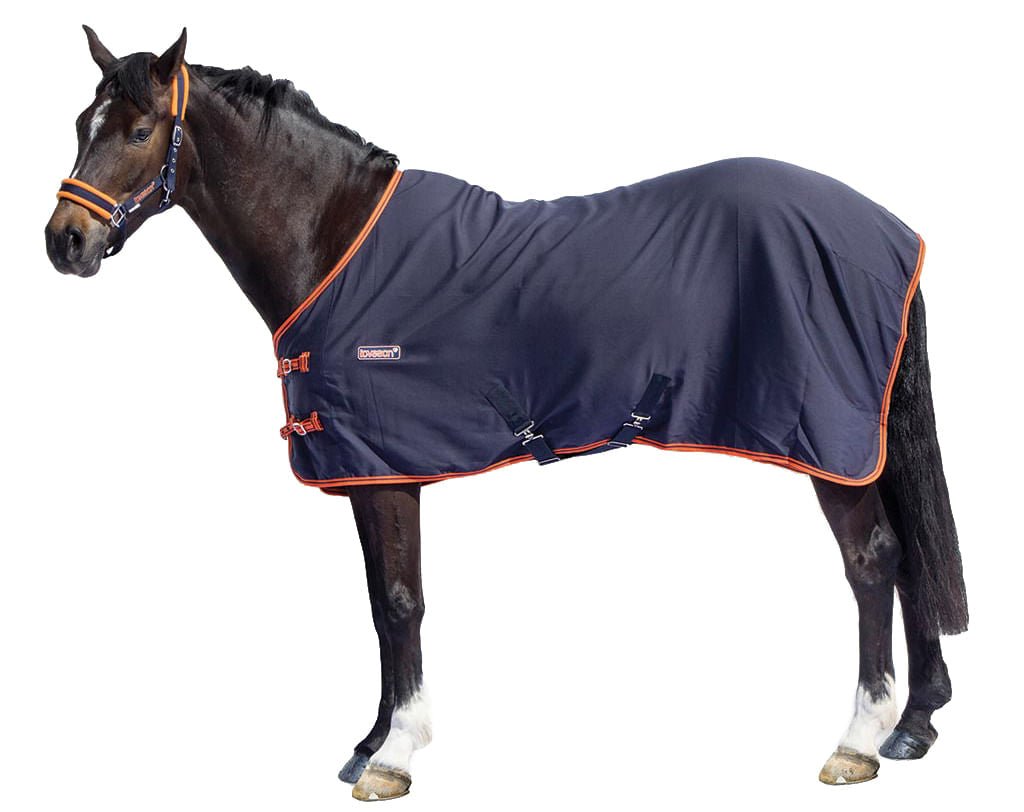 Loveson Stable Horse Sheets, Navy/ Orange — Jeffers