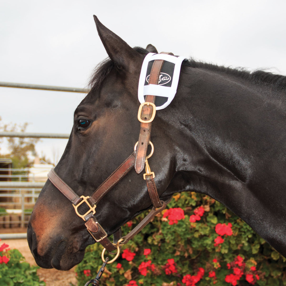 Professional's Choice Magnetic Poll Pieces for Horses — Jeffers