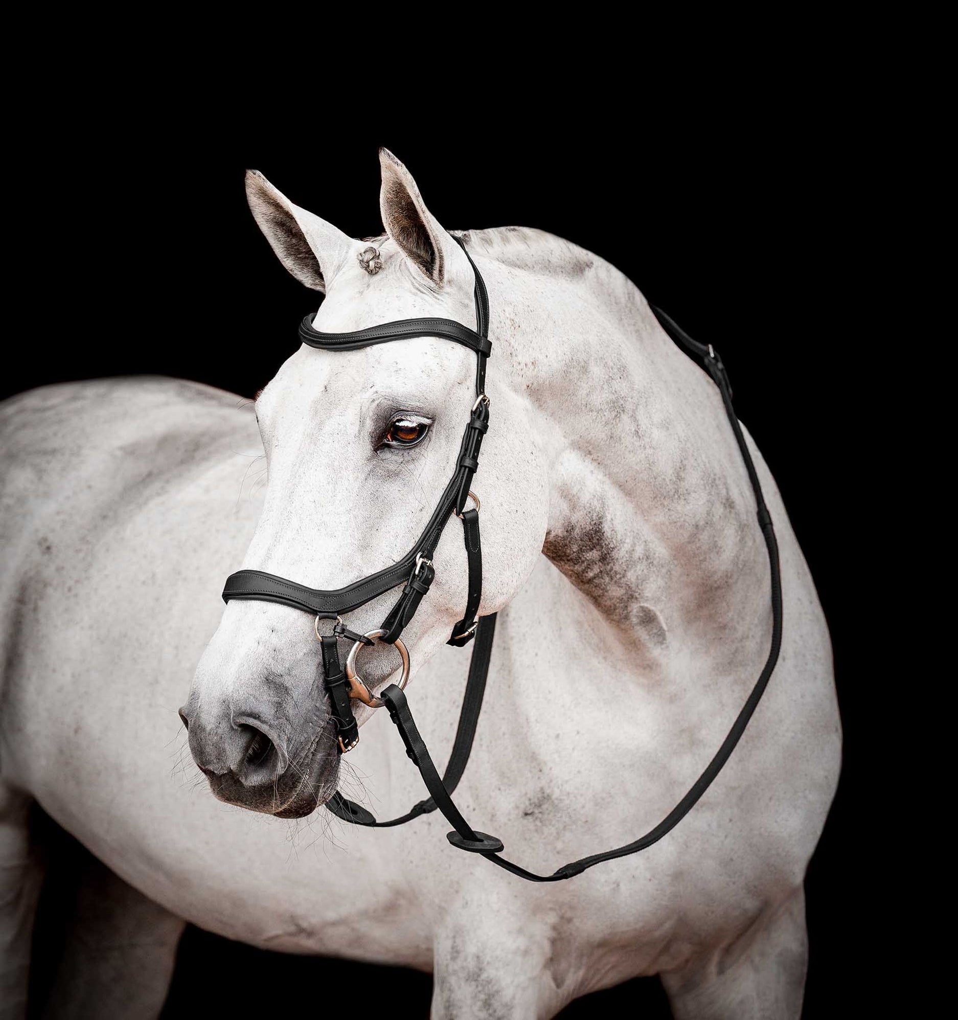 Micklem 2.0 Competition Bridle for Horses, Black — Jeffers