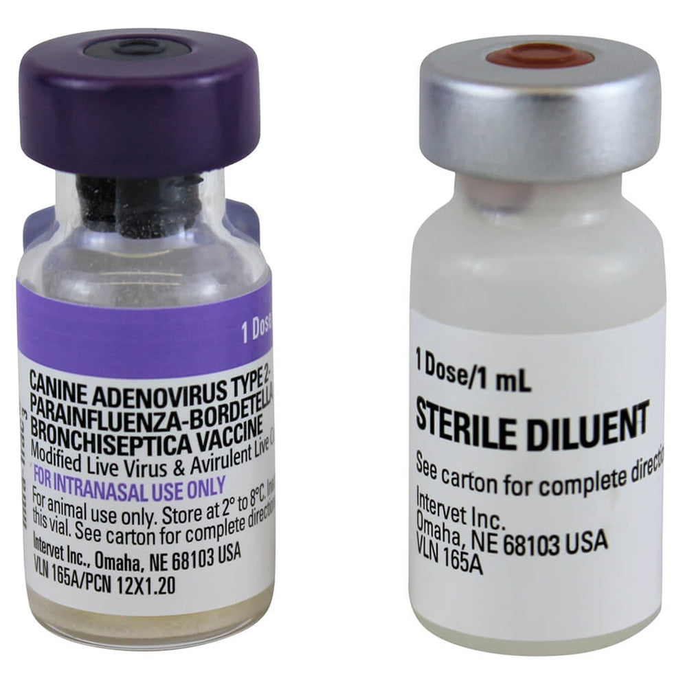 Merck Nobivac Intra-Trac 3 Intranasal Vaccine for Dogs — Jeffers