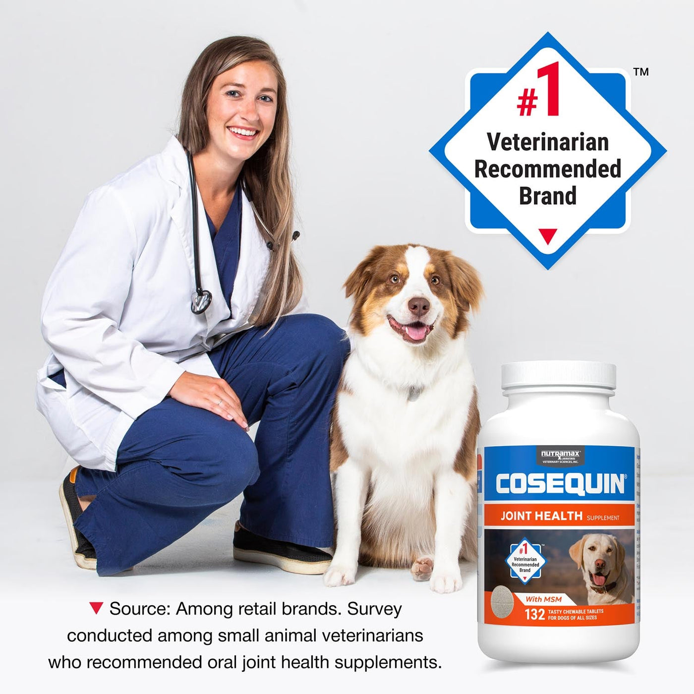 Nutramax Cosequin Maximum Strength Joint Support with MSM For Dogs ...