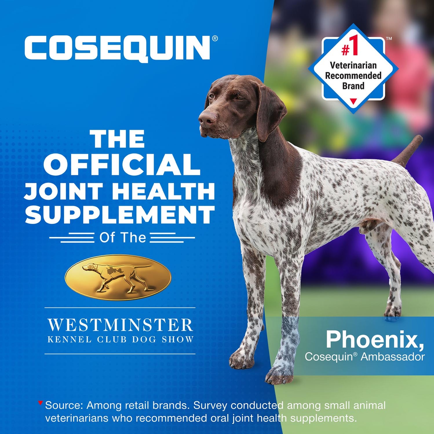 Nutramax Cosequin Maximum Strength Joint Support with MSM For Dogs ...