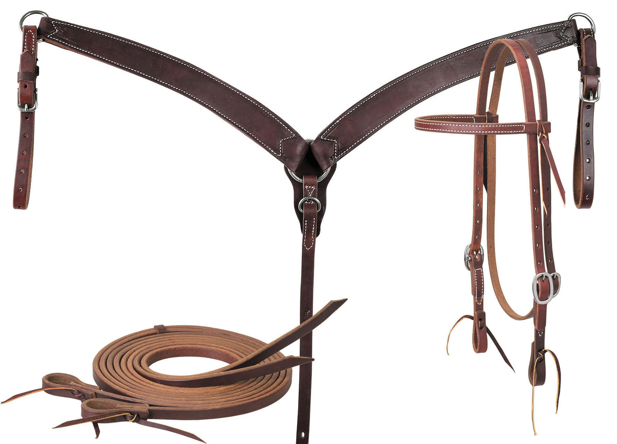 Oiled Harness Tack Set with Browband Headstall for Horses, Stainless ...