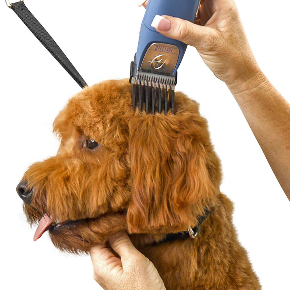 Oster Cordless Fast Feed Clipper for Pet Grooming, Blue — Jeffers