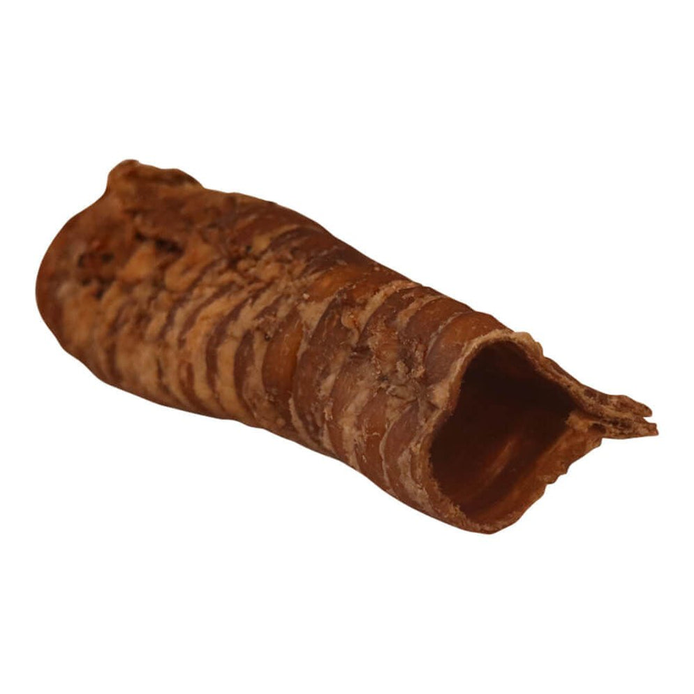 6" Beef Trachea Dog Chews by Pet's Choice — Jeffers