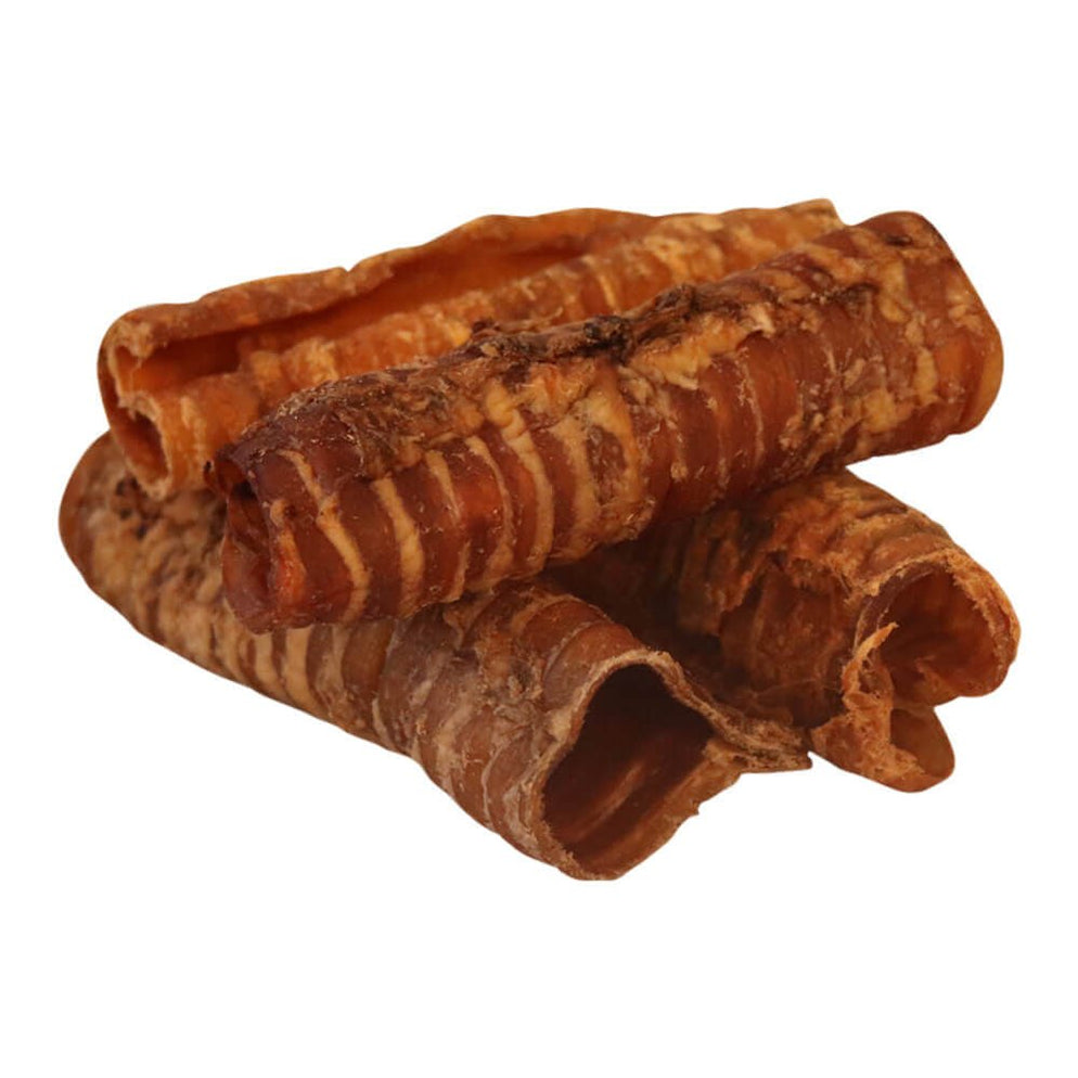 6" Beef Trachea Dog Chews by Pet's Choice — Jeffers