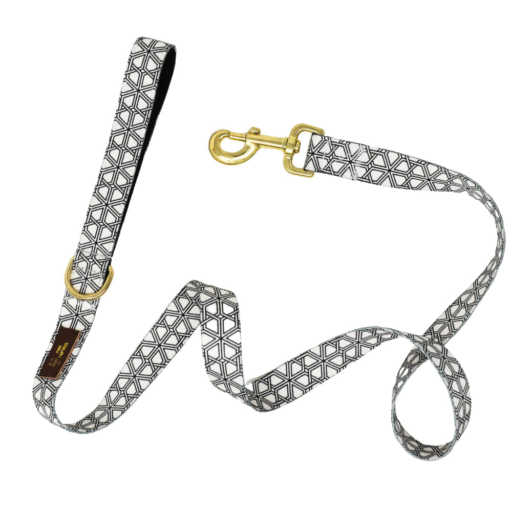 Pink Papyrus Avery Dog Leash, 6 ft, Assorted Designs — Jeffers