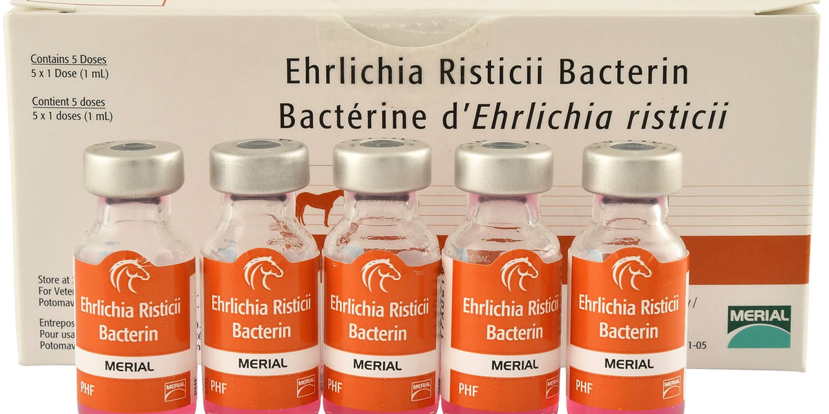 Potomavac Horse Vaccine, box of 5 — Jeffers