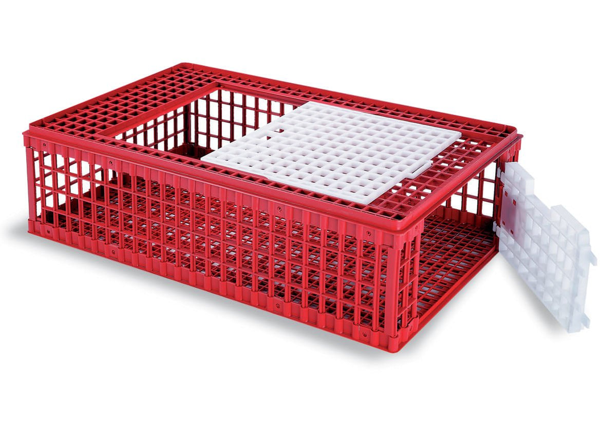 Poultry Shipping Crate | Plastic Chicken Crate — Jeffers