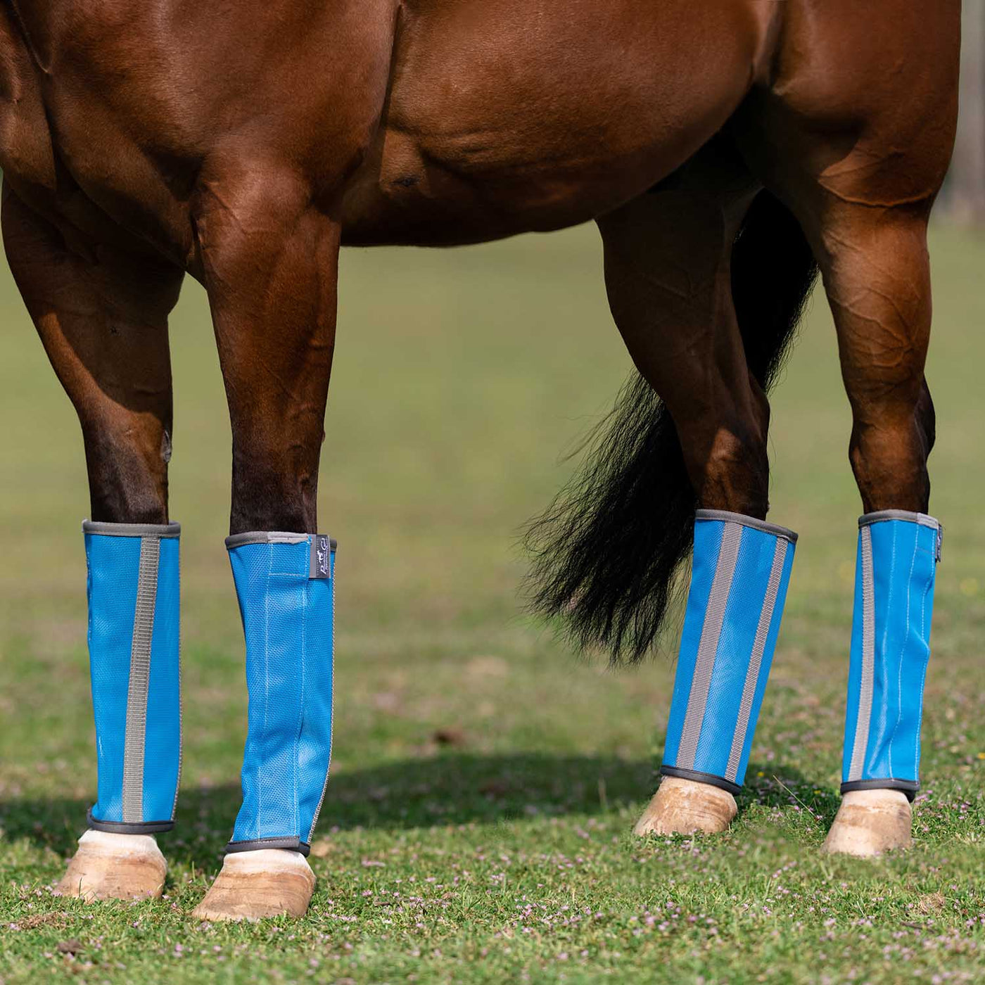 Professional's Choice Deluxe Horse Fly Boots, 4 pack — Jeffers