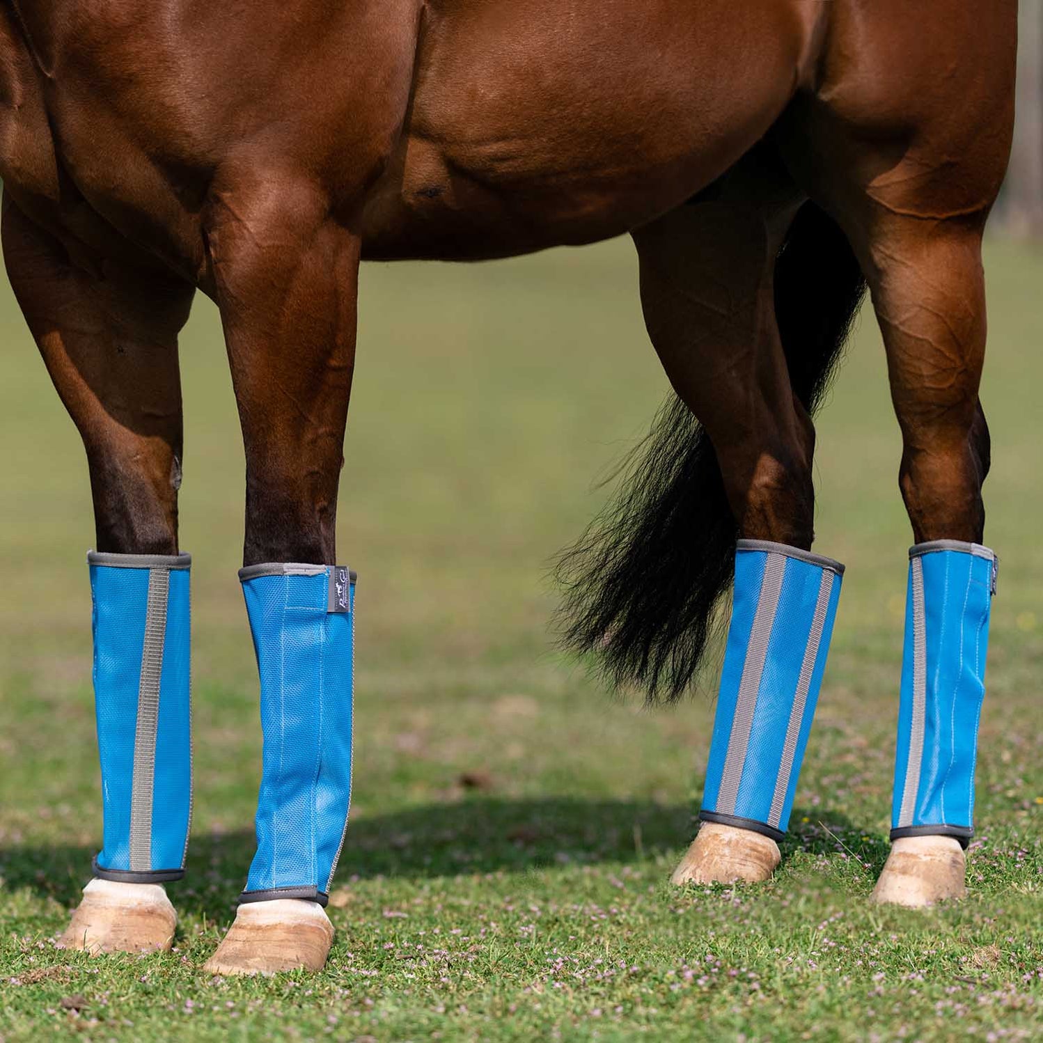 Professional's Choice Deluxe Horse Fly Boots, 4 pack — Jeffers