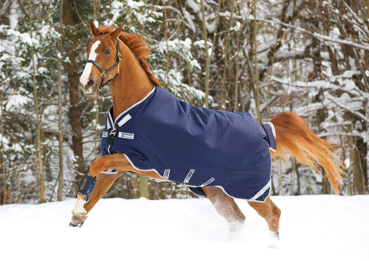 Rambo Original Turnout Blanket with Leg Arches, 200 G, Navy/Silver ...