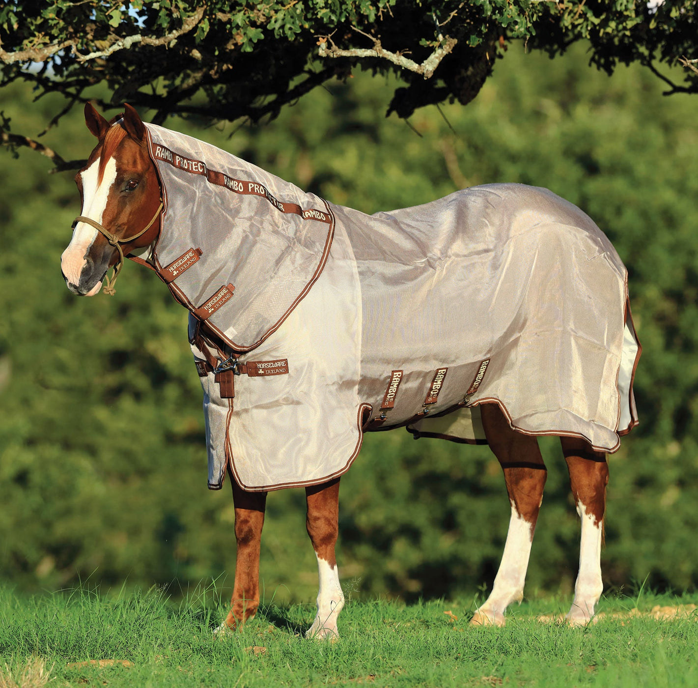 Rambo Protector Horse Fly Sheet, Oatmeal/ Silver — Jeffers
