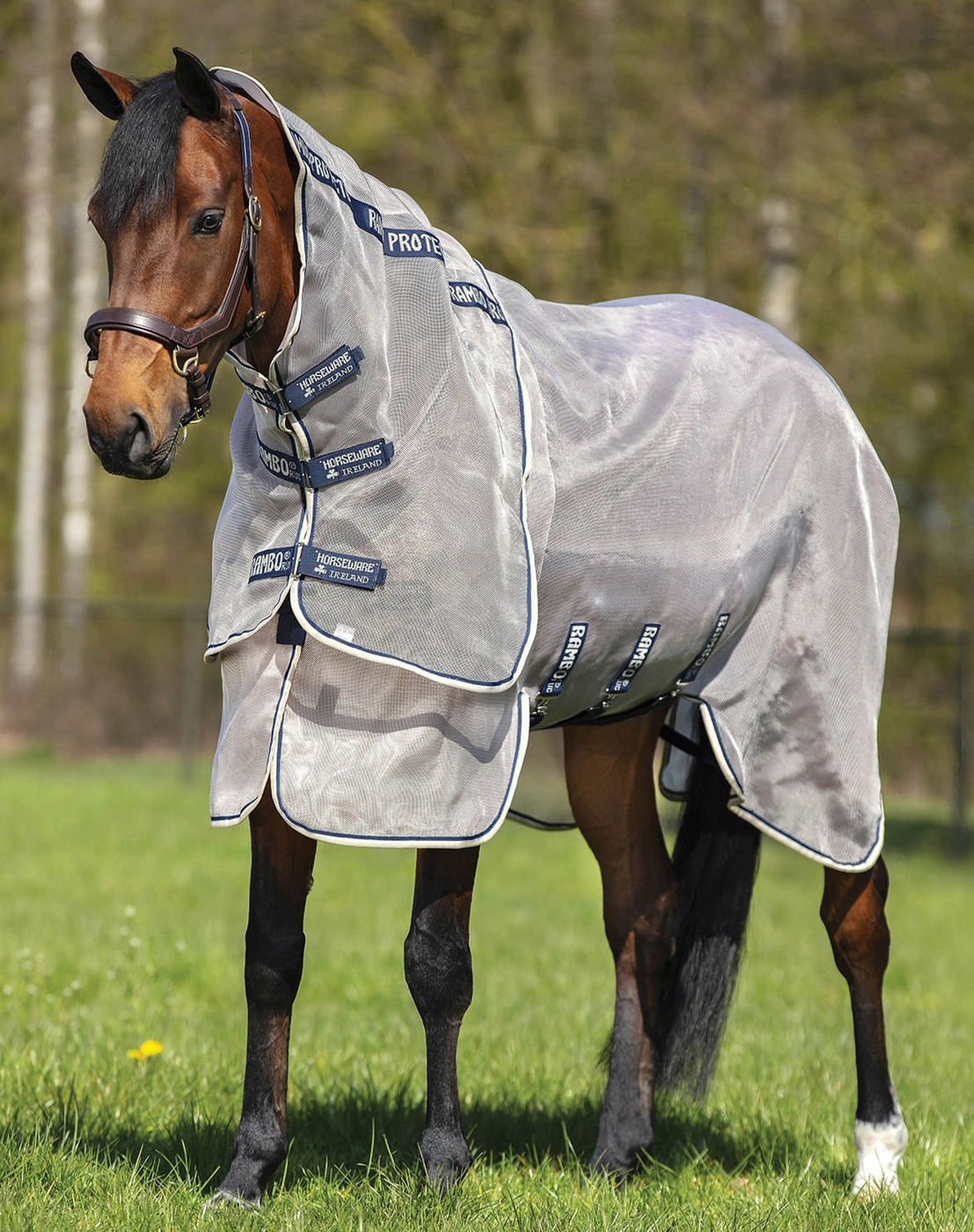 Rambo Protector Horse Fly Sheet, Oatmeal/ Silver — Jeffers