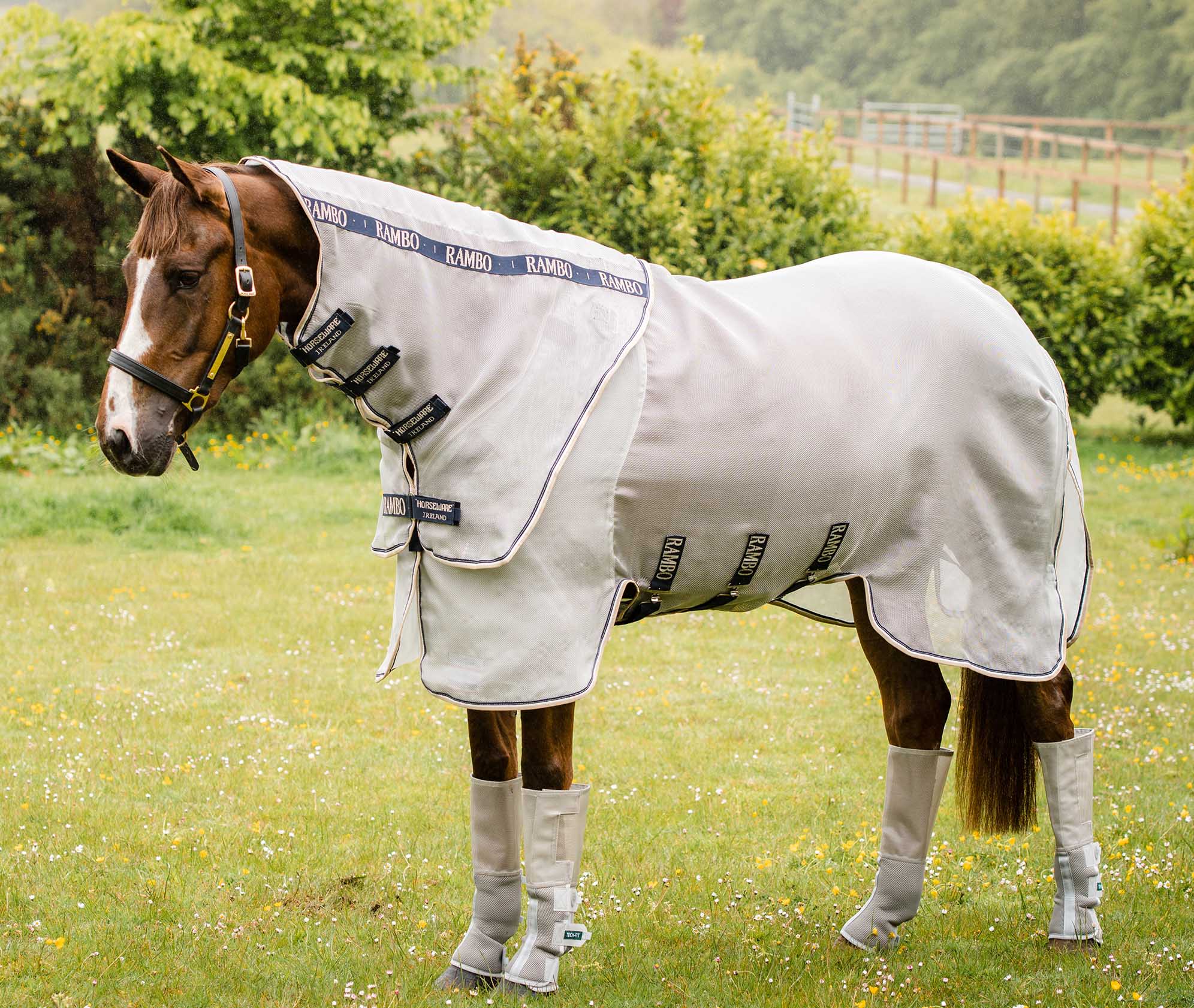 Fly Sheets for Horses | Equestrian Supplies — Jeffers