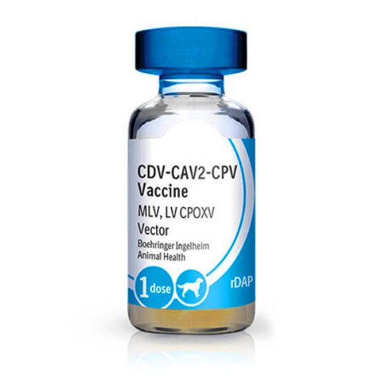 Recombitek C-3 Dog Vaccine, 25 x 1mL — Jeffers