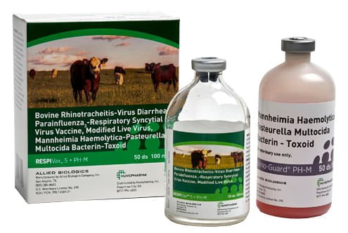 RespiVax 5 + PH-M Vaccine for Cattle — Jeffers