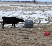 Roy-L-Heat Calf Warmer Box with 110-volt heater — Jeffers