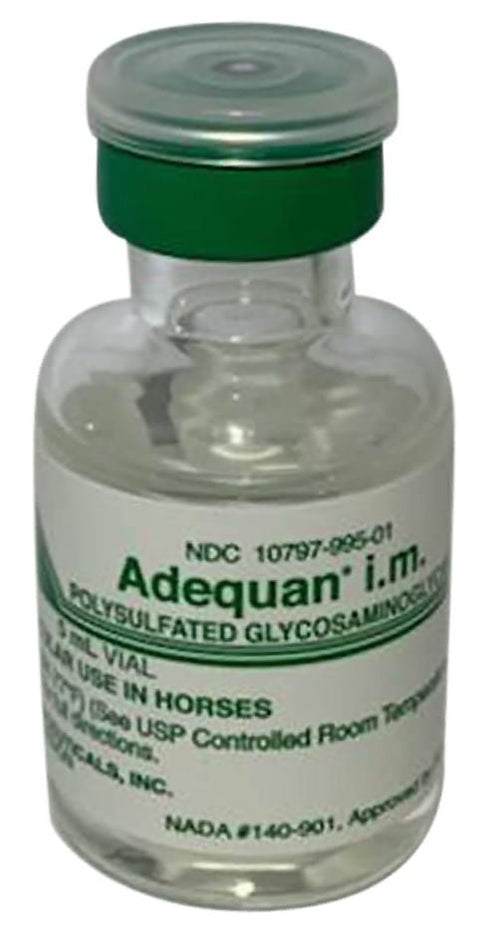 Rx Adequan for Horses, 500mg/5l — Jeffers