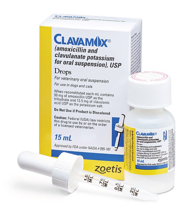 Rx Clavamox for Dogs & Cats, 15 ml Oral Drops — Jeffers