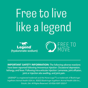 Rx Legend Injectable for Horse Joint Health — Jeffers