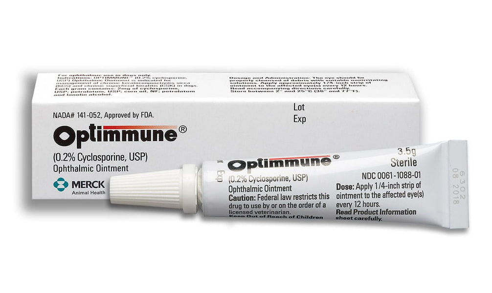 Rx Optimmune Ophthalmic Ointment for Dogs, 3.5gm Tube — Jeffers