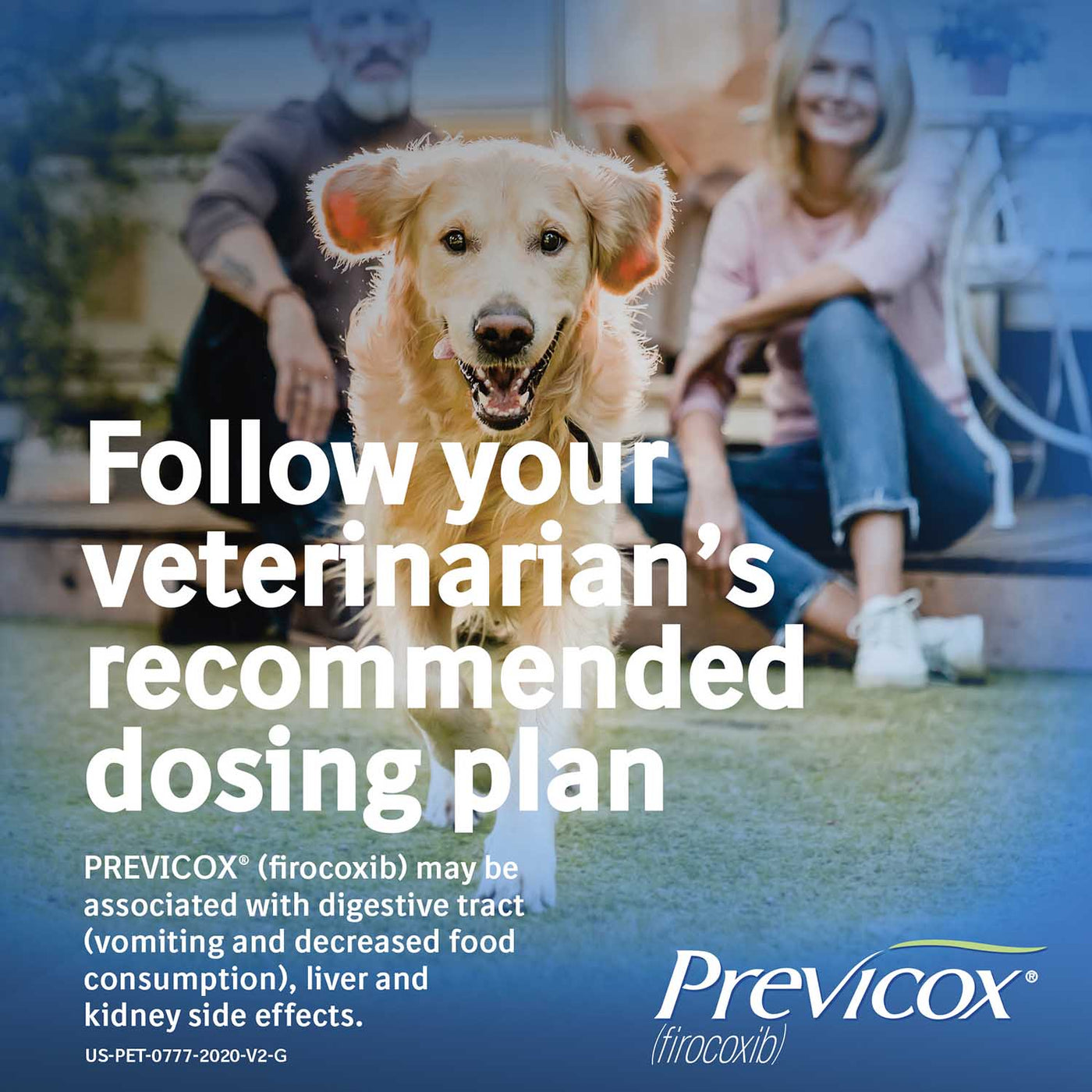 Rx Previcox for Dogs — Jeffers