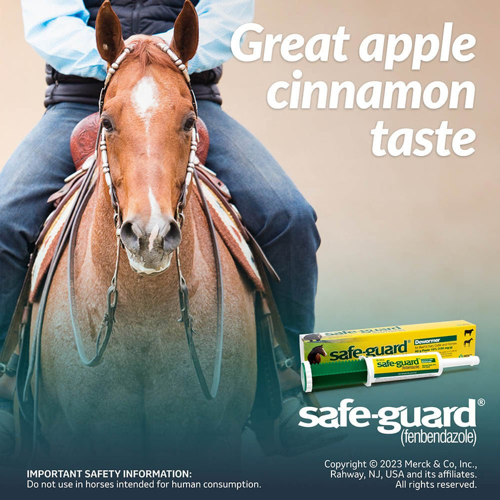 Safe Guard Dewormer Horse Paste (10% Fenbendazole) — Jeffers