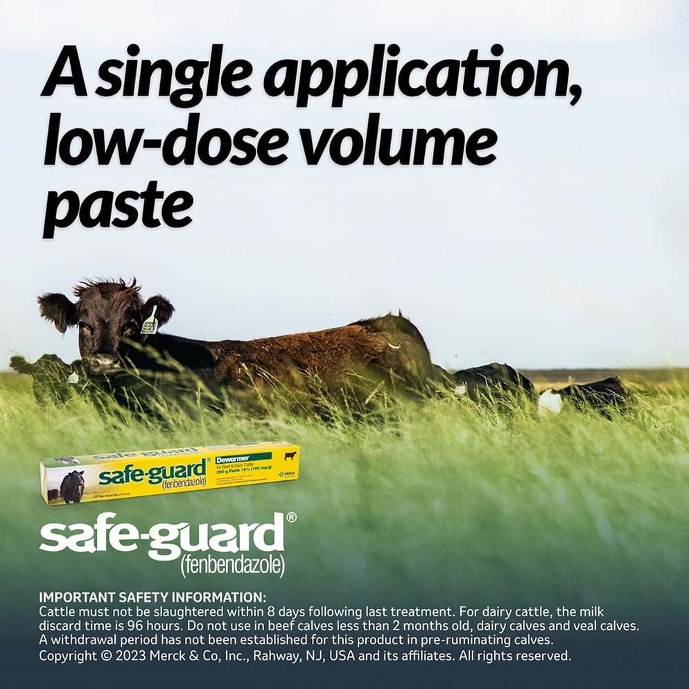 Safe Guard Dewormer Horse & Cattle Paste (10% Fenbendazole) — Jeffers