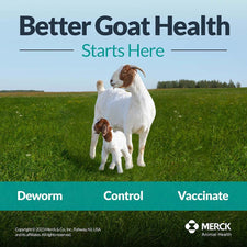 Safe-Guard Suspension Dewormer for Goats, 125 mL — Jeffers