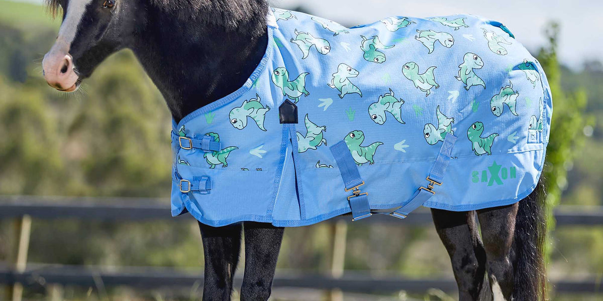 Saxon Pony 600 Denier Standard Neck Turnout Horse Sheet — Jeffers