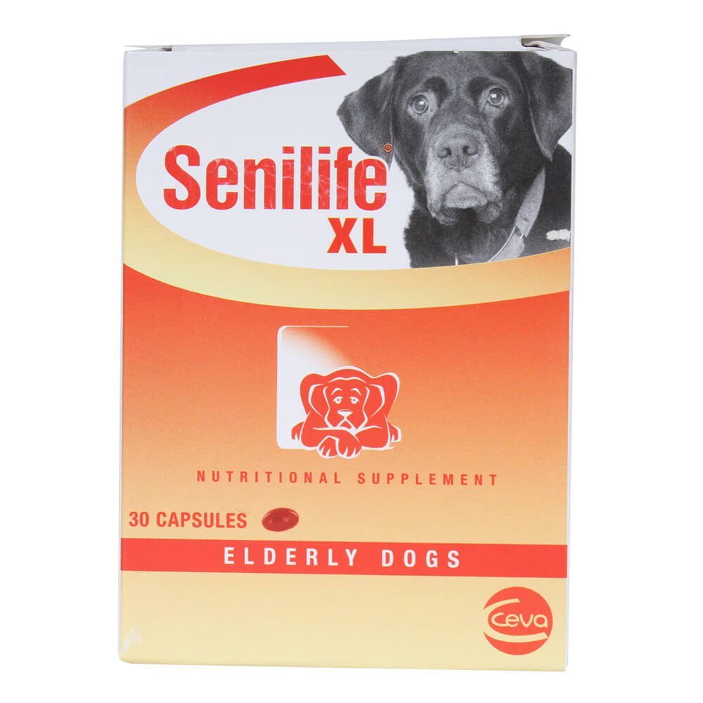 Senilife XL Nutritional Supplement for Elderly Dogs, 30 count — Jeffers