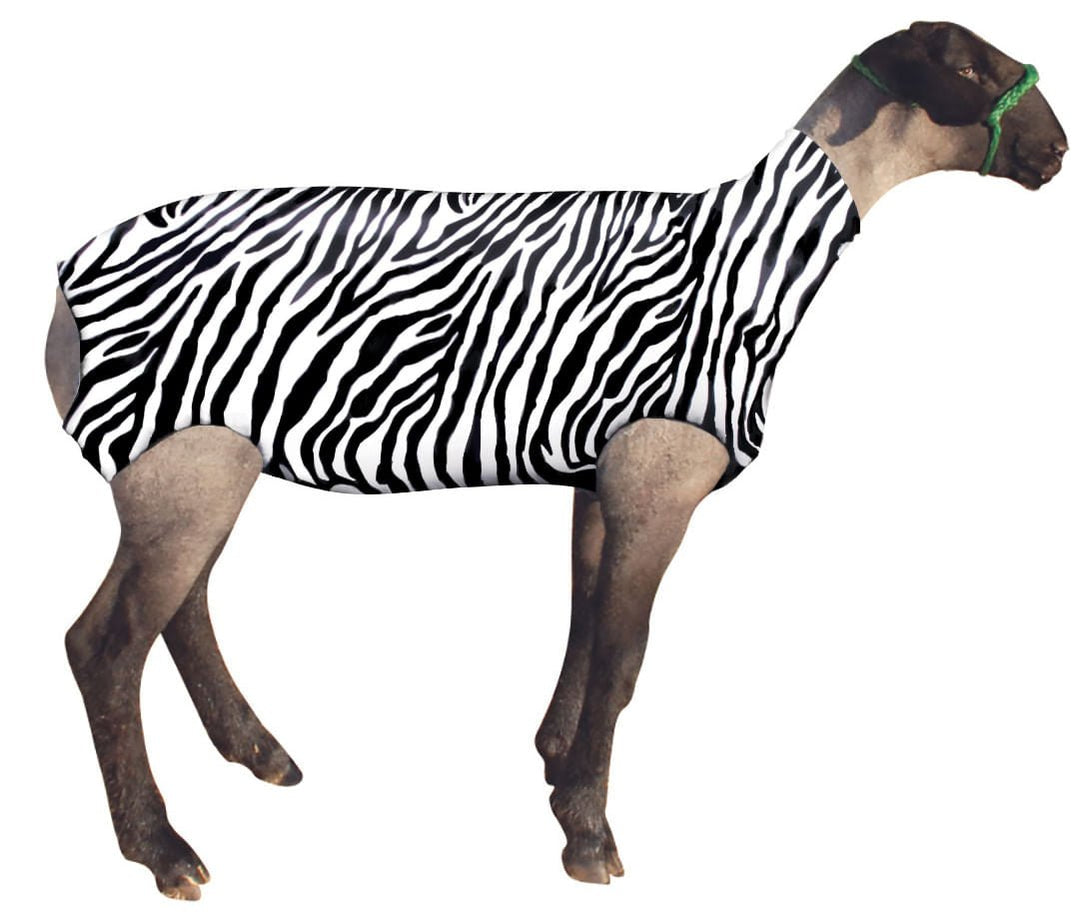 ShowPro Spandex Lamb Tube, Multi Color — Jeffers