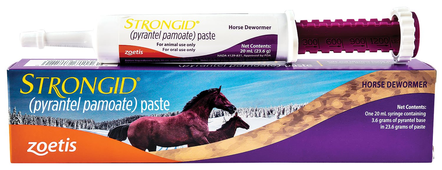 Strongid Horse Dewormer Paste (pyrantel pamoate) | Benzimidazole Wormer ...