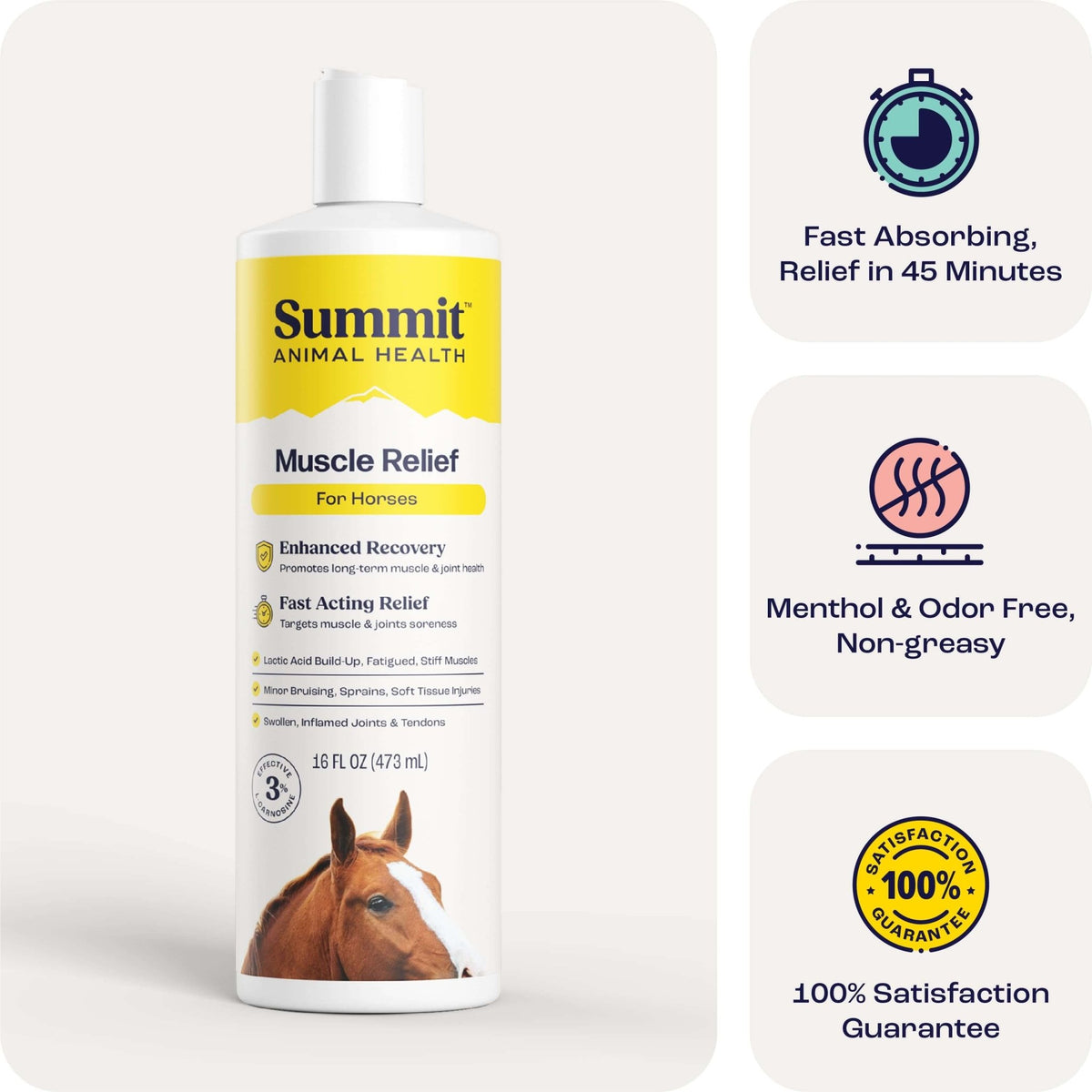 Summit Animal Health Muscle Relief for Horses, 16oz — Jeffers