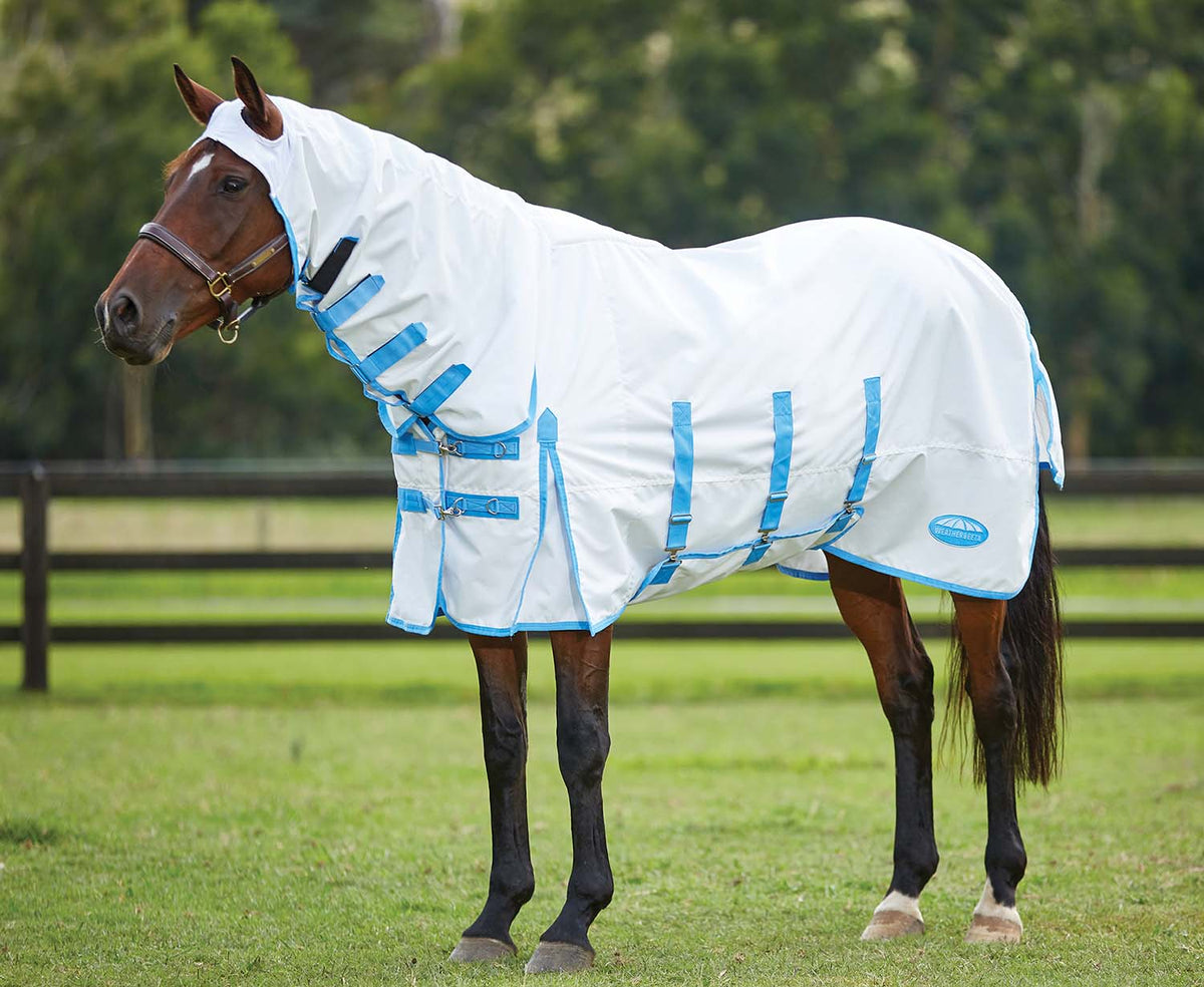 Sweet Itch Shield Combo Neck Horse Sheet, White/Blue — Jeffers