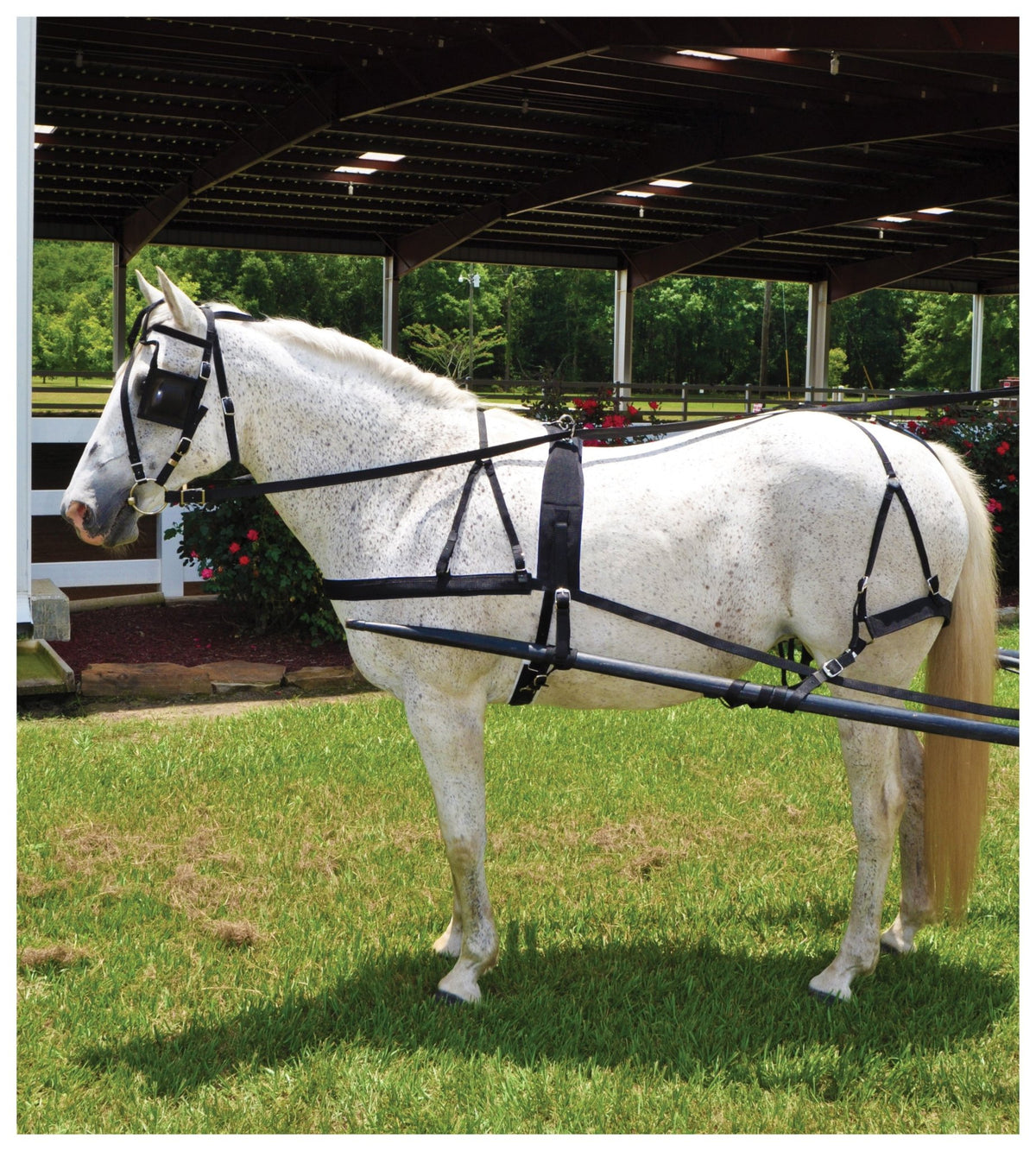 Tough-1 Nylon Horse Driving Harness — Jeffers