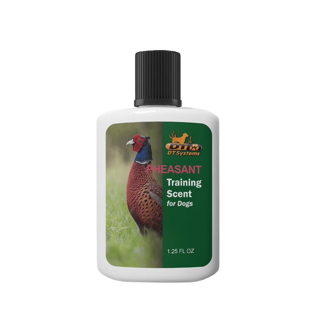 Training Scent, 1.25 oz for dogs — Jeffers