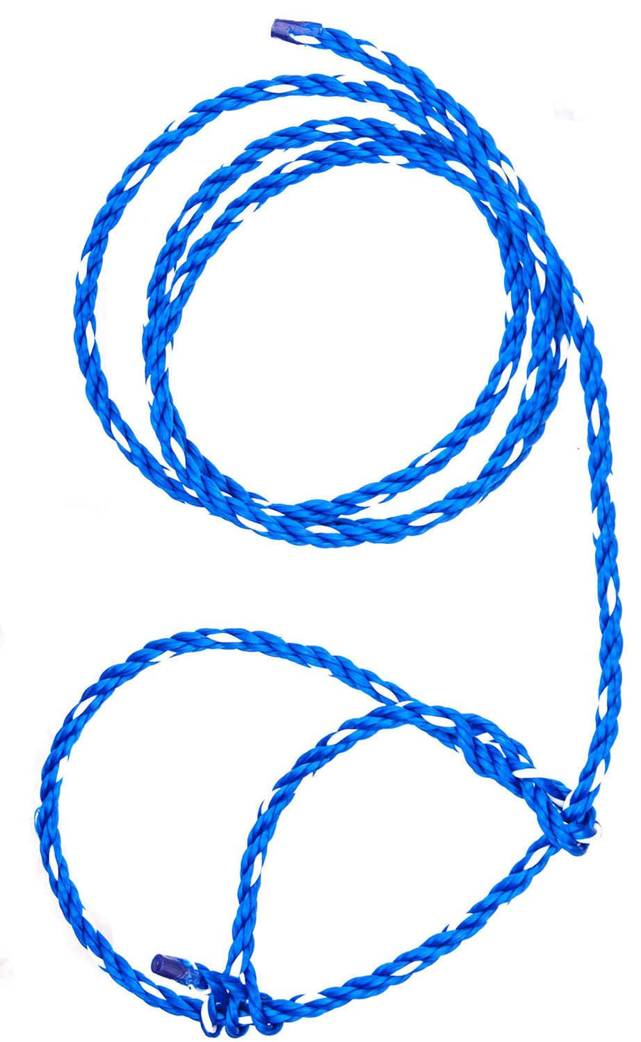 Cow & Cattle Halters — Jeffers