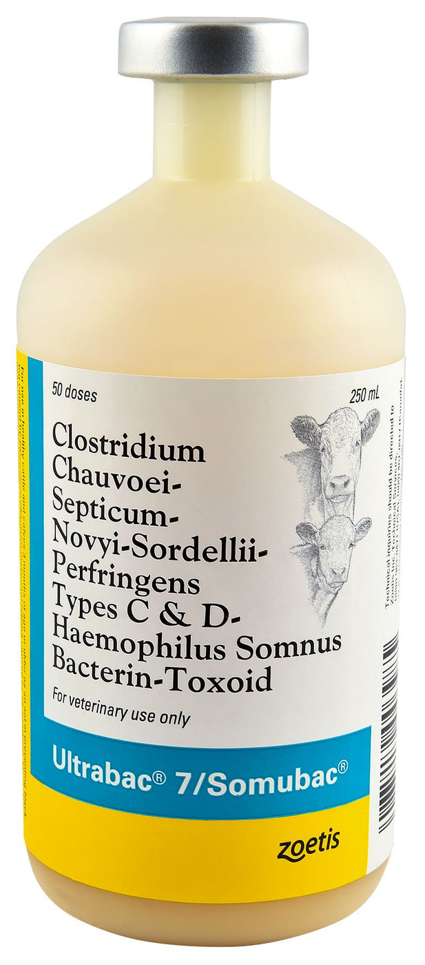 Ultrabac 7/Somubac Blackleg Vaccine for Cattle — Jeffers